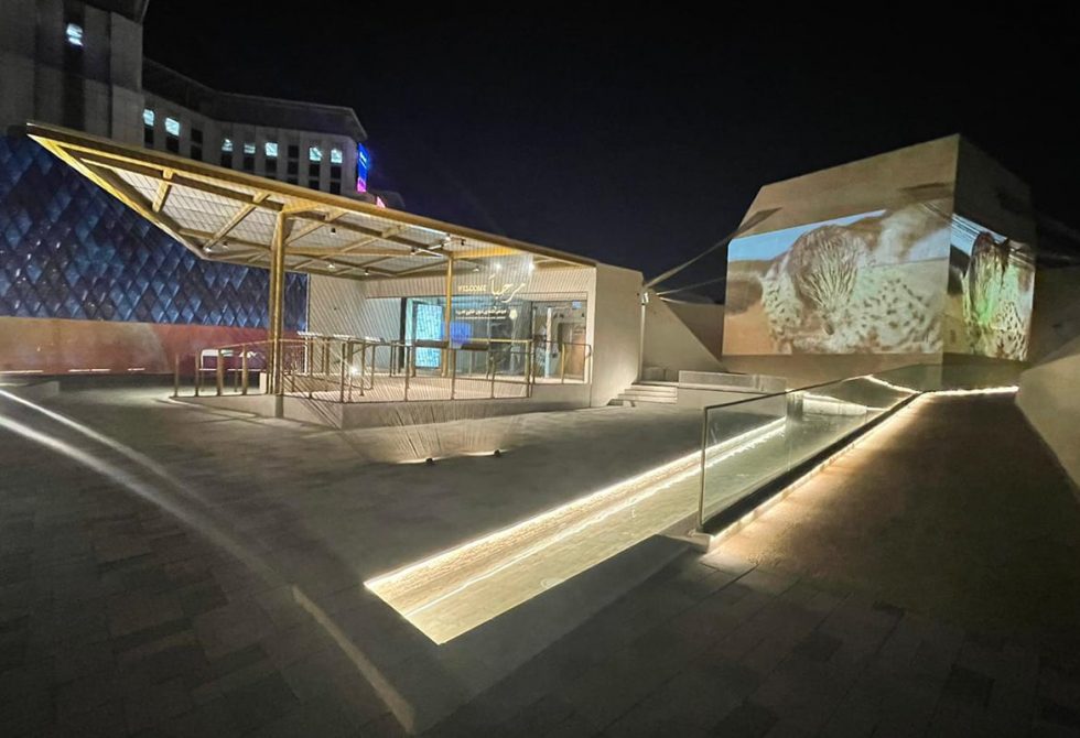 Find Global Intellectual Property Partnerships at NEON