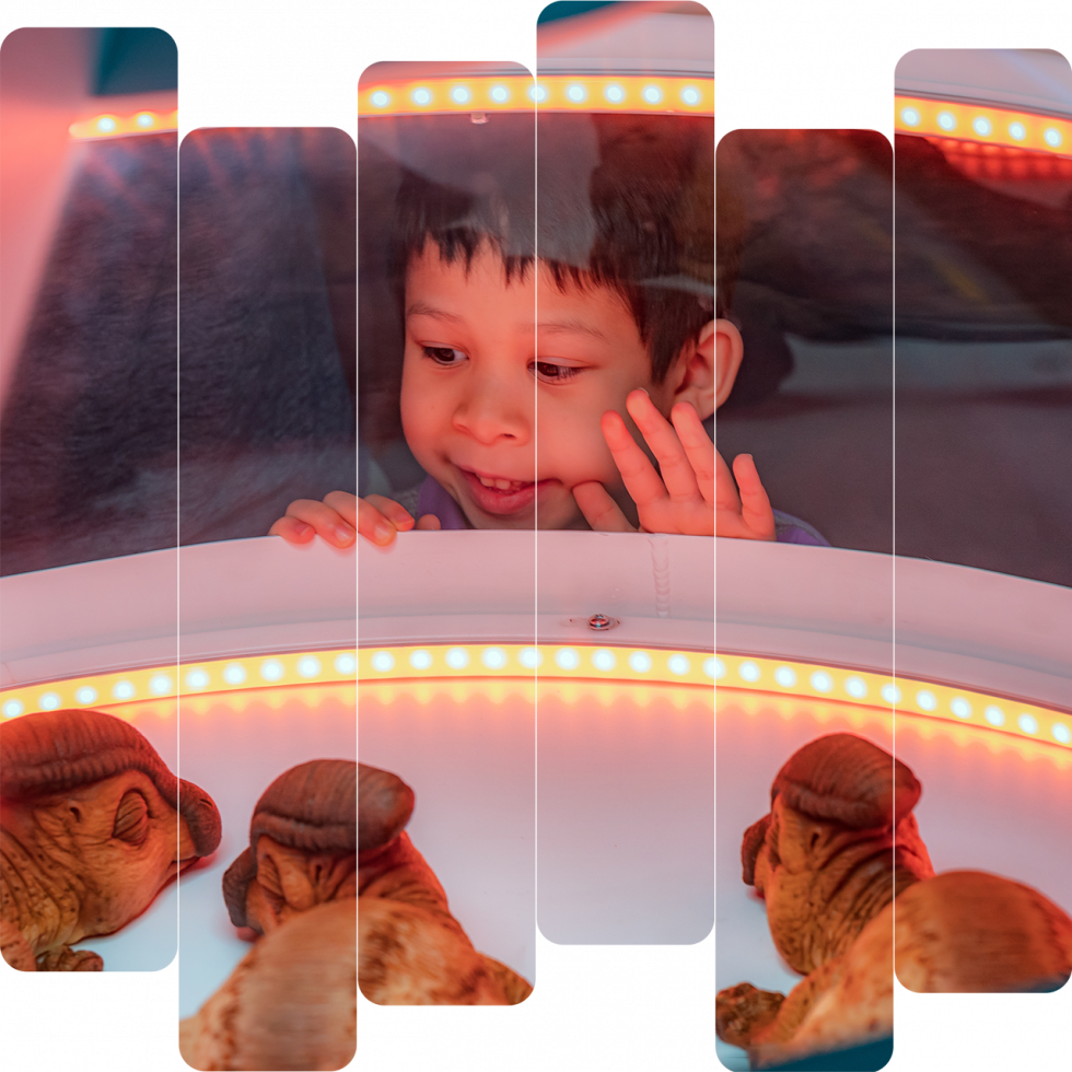 欢迎来到NEON - 更接近你所爱的 | NEON GLOBAL