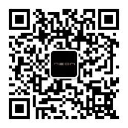 NEON Global: A Journey of Notable Success